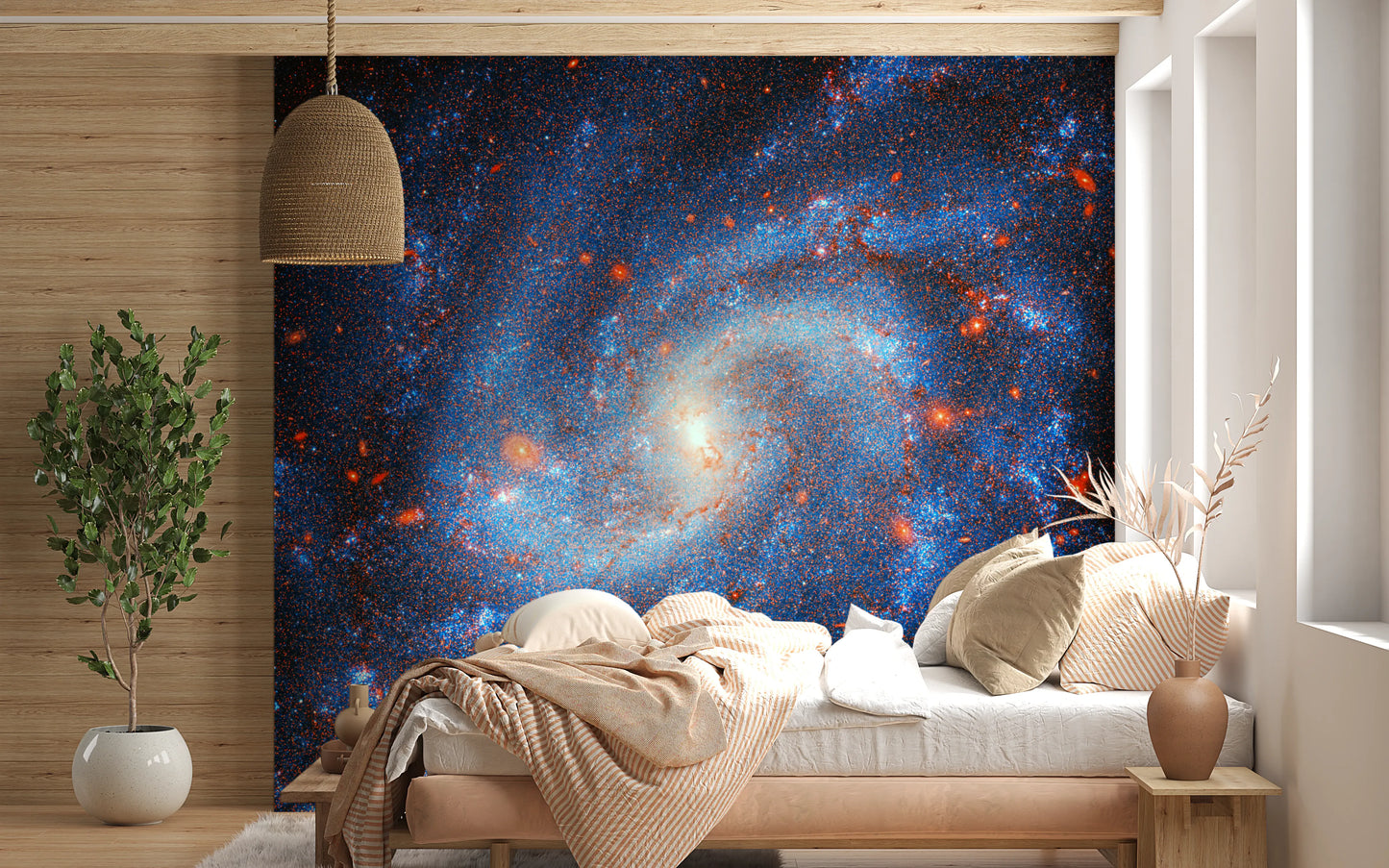 Cosmic Starfield Wallpaper Mural