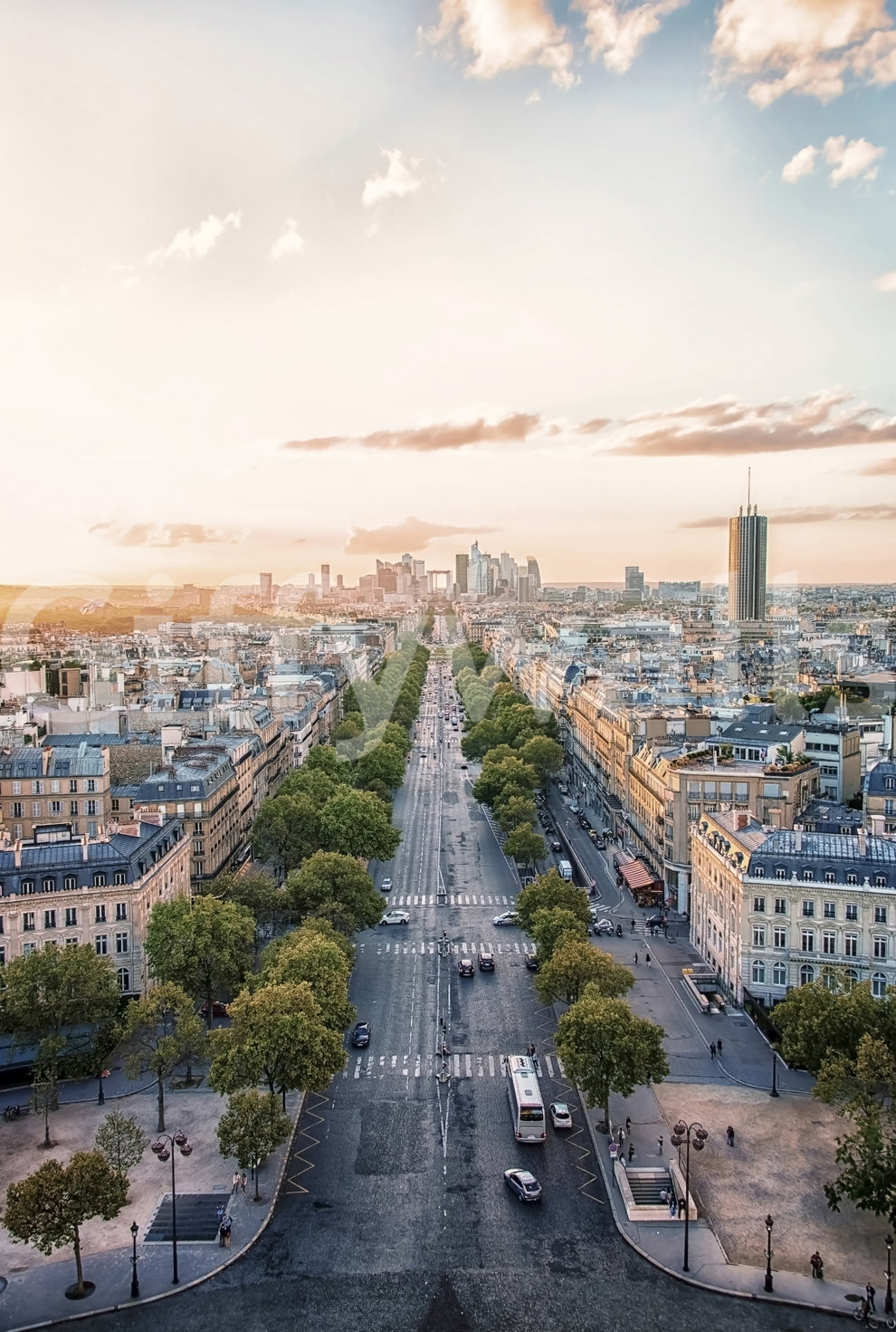 Paris Avenue Wallpaper